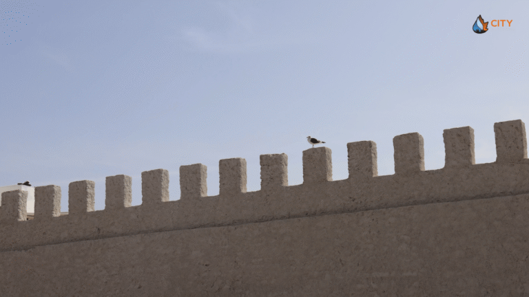 What Is a Parapet Wall? Why It Matters for Your Home in 2026
